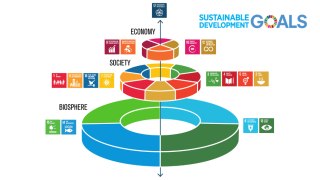 Industrial Parks make a key contribution to the United Nations ...